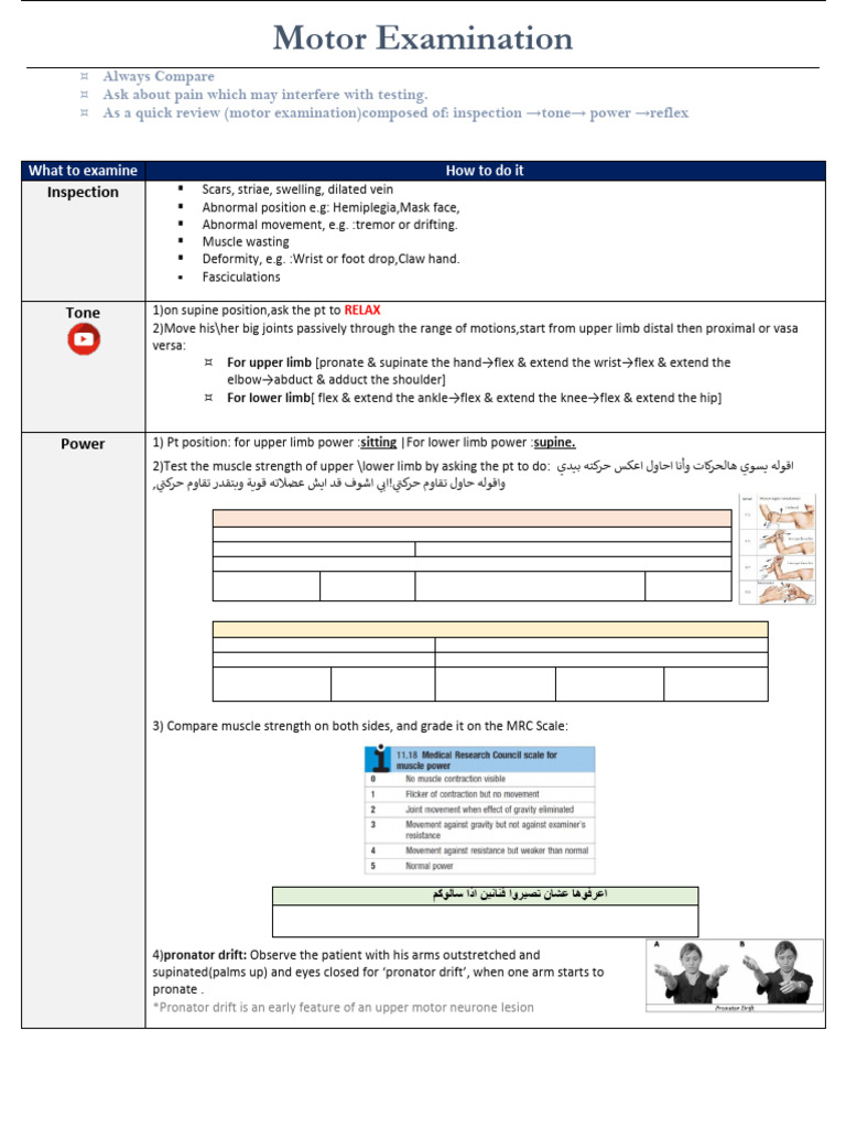 MRC Muscle Strength Grading Guide | PDF | Anatomical Terms Of Motion ...