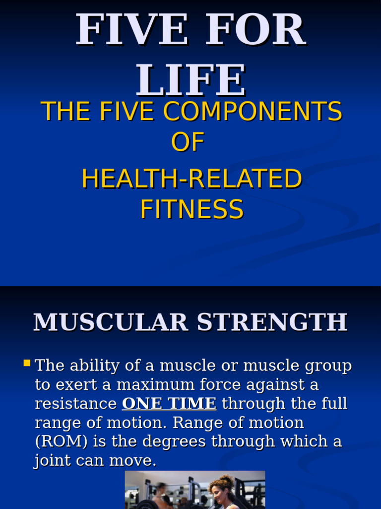 The Health Related Fitness Components | PDF