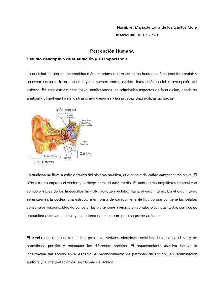 El Sentido de La Audición | PDF