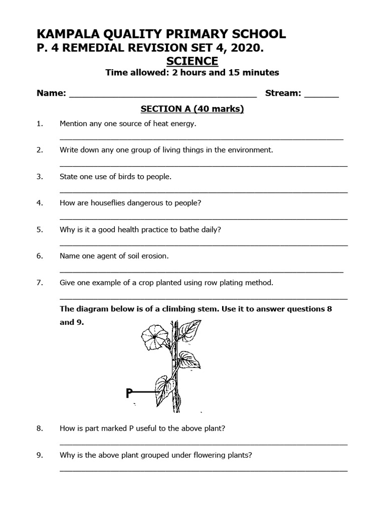 P.4 Science Remedial Revision Set 4-2020 Kampala Quality Primary School ...