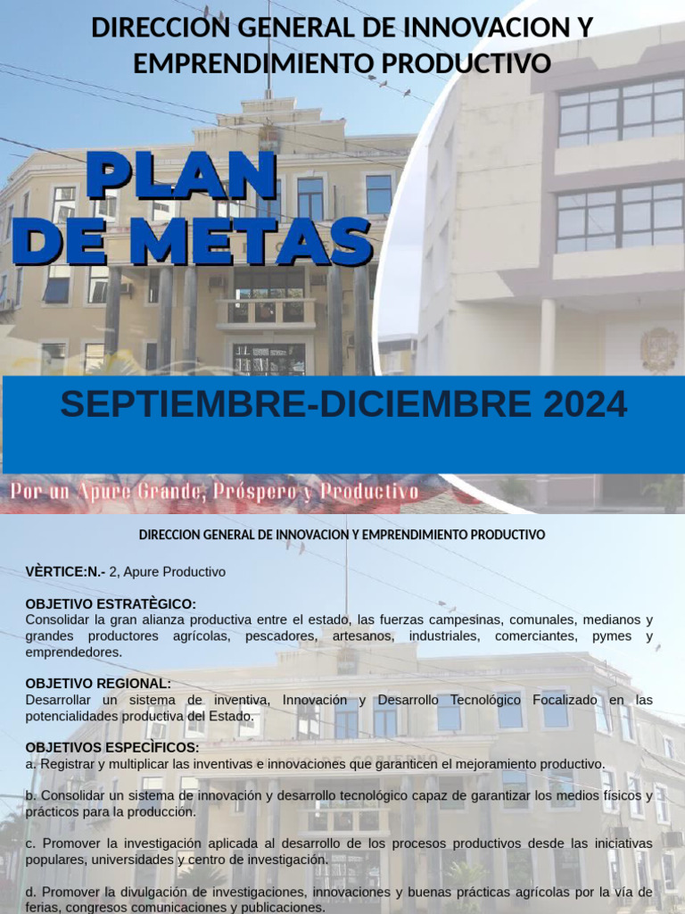 METAS Año 2025 | PDF