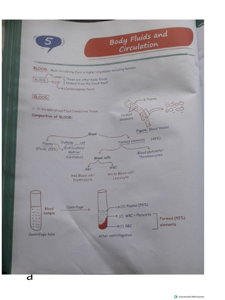 BODY FLUIDS AND CIRCULATION | PDF