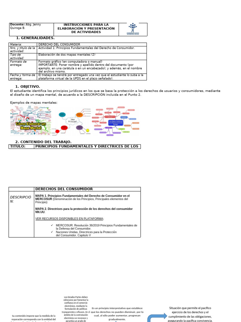 Act. 1 Mapa Mental Principios y Directrices | PDF | Protección al ...