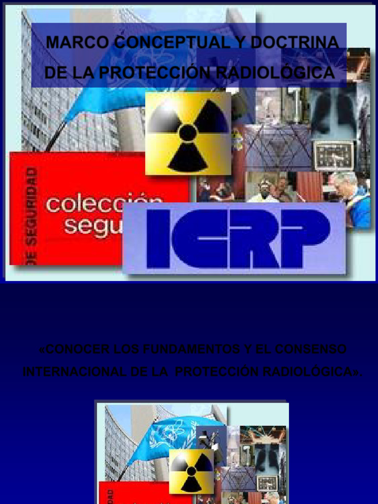 Modulo 4. Marco Conceptual y Doctrina de La PR | PDF