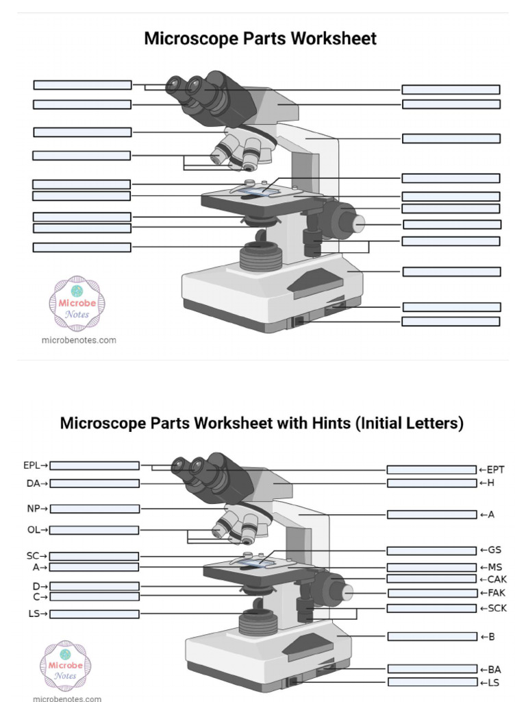 Microscope Parts Worksheet PDF | PDF