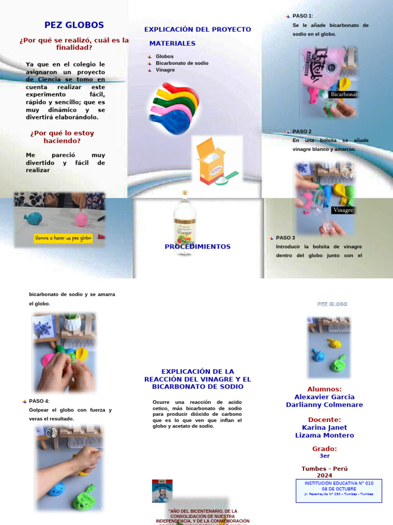 TRIPTICO PEZ GLOBO | PDF