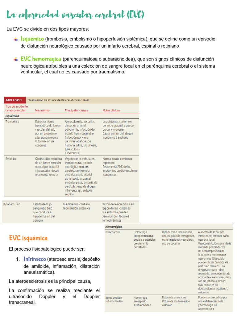 La enfermedad vascular cerebral (EVC) | PDF