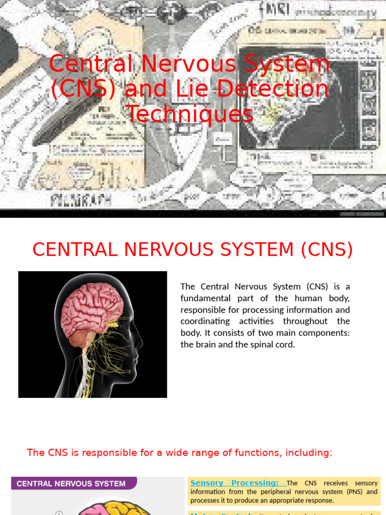 Chapter 1 Lesson 2 | PDF
