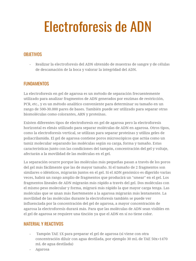 Electroforesis de ADN | PDF