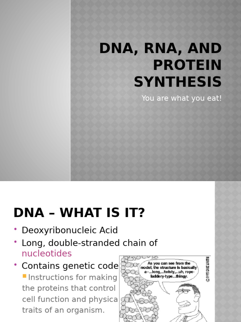 DNA, RNA, and Protein Synthesis | PDF