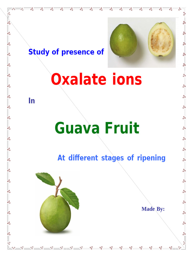 Study of The Presence of Oxalate Ions in Guava Fruit at Different Stages of Ripening | PDF ...