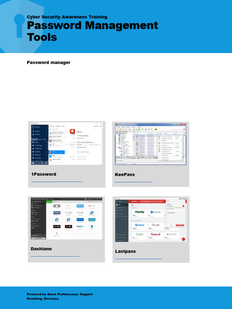 intro. cyber security 10 | PDF