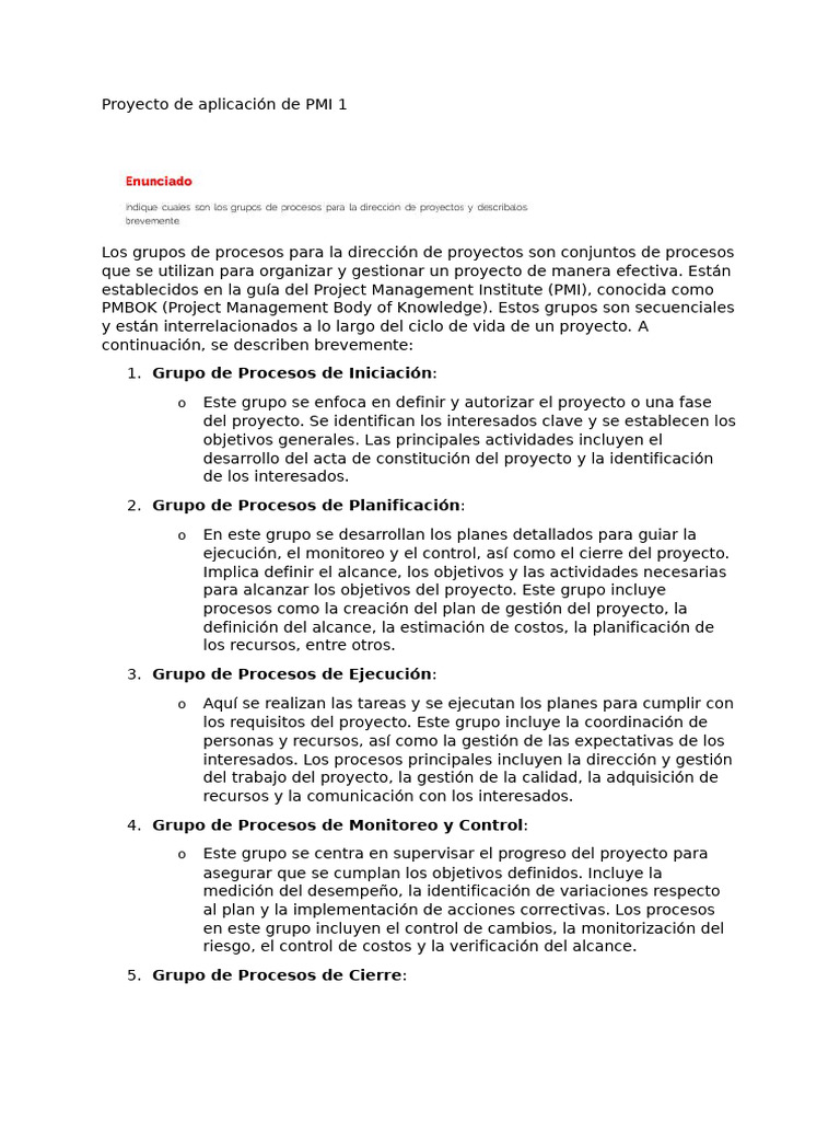 Proyecto de Aplicacion PMI 1 | PDF