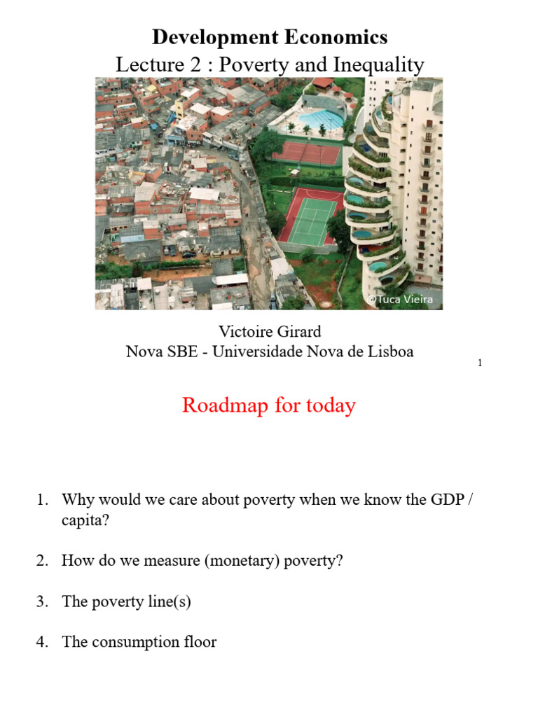 Poverty and Inequality | PDF
