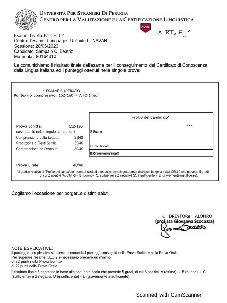 A1 CELI Italiano | PDF