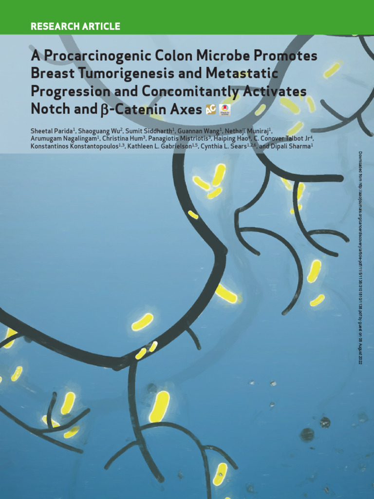 A Procarcinogenic Colon Microbe Promotes Breast Tumorigenesis and ...