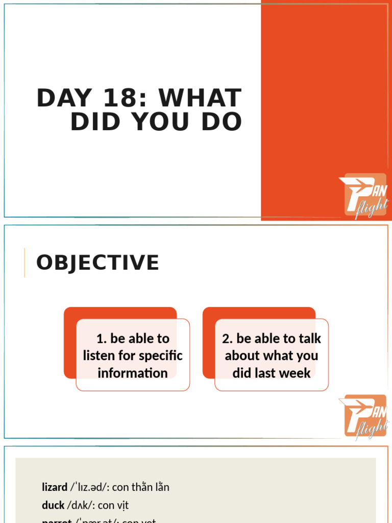 Basic - Day 18 - What Did You Do | PDF