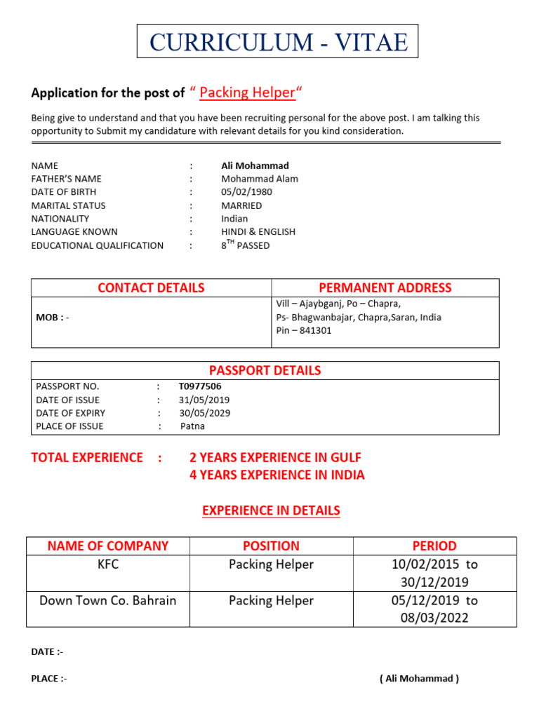 Curriculum - Vitae: " Packing Helper" | PDF