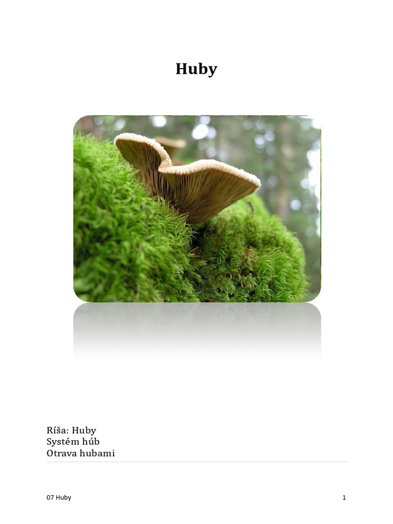 Huby | PDF