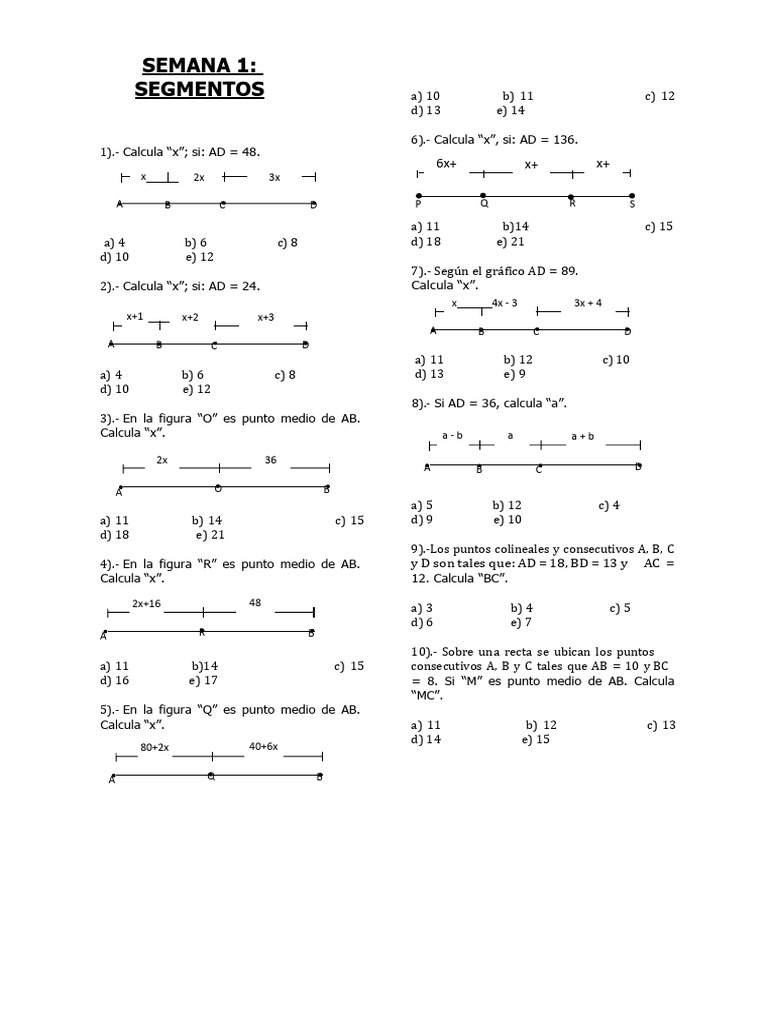 Practica para Casa - S1 Segmentos | PDF