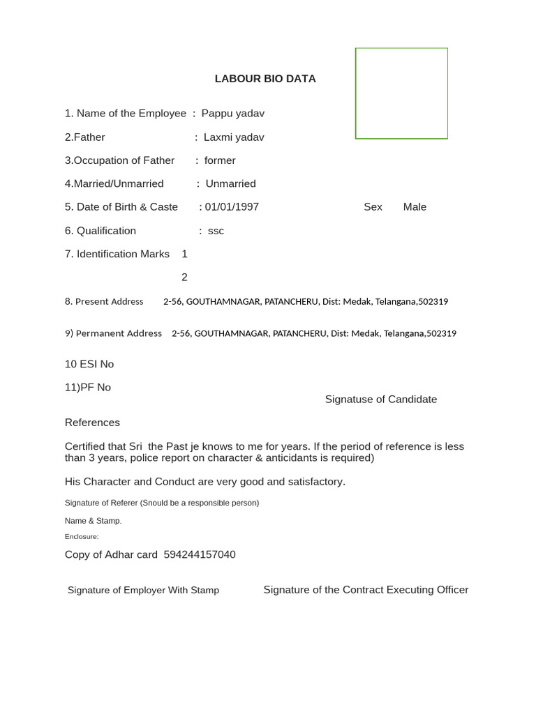 Labour Bio Data | PDF