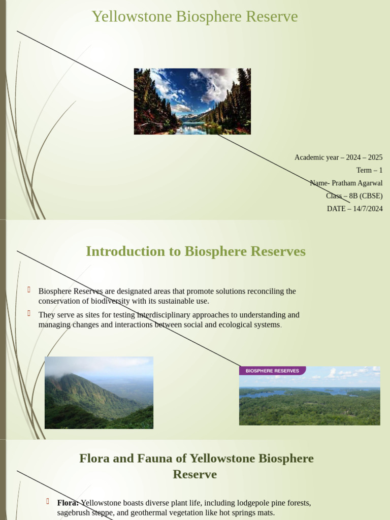 Yellowstone Biosphere Reserve | PDF