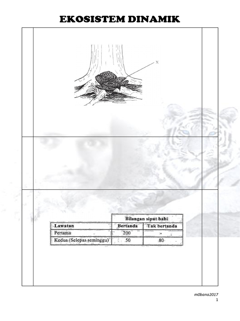 K1 Bab 8 F4 EKOSISTEM DINAMIK | PDF