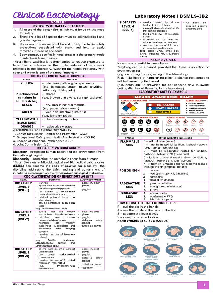 Bacte Lab Notes - Midterms | PDF