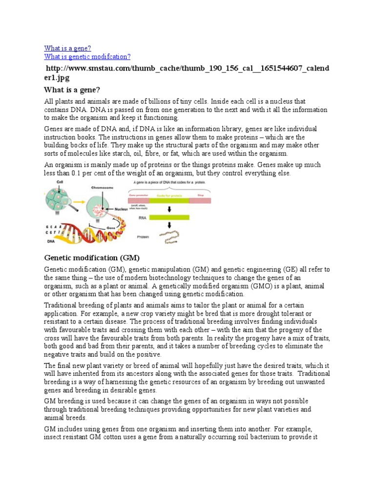 Er1.jpg What Is A Gene? | PDF | Genetic Engineering | Foodborne Illness