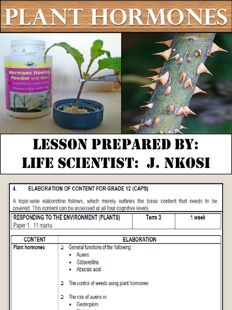 Plant Hormones | PDF