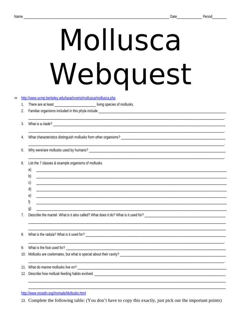 Mollusca Webquest | PDF