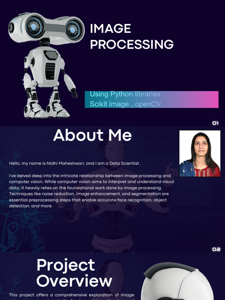 IP with python libraries | PDF