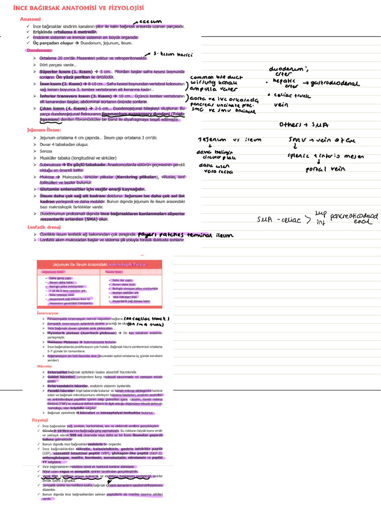 I Colon and Small Intestine Benign L | PDF