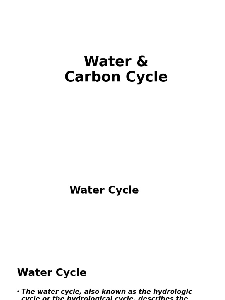 Water & Carbon Cycle | PDF