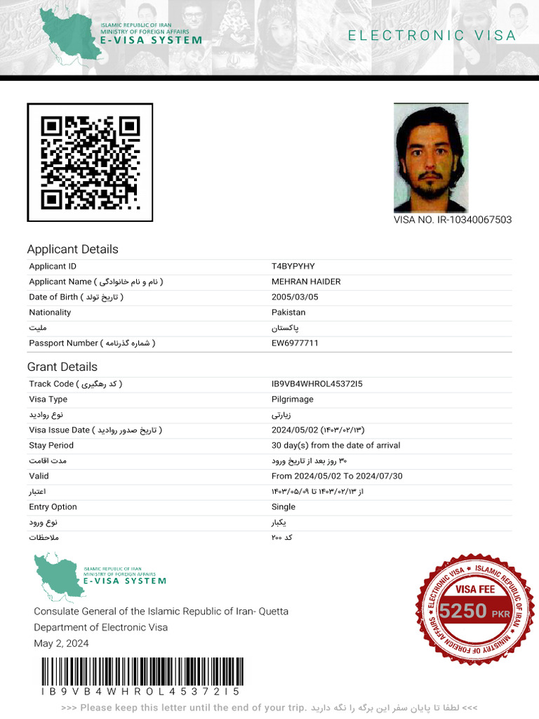 Electronic Visa: Applicant Details | PDF