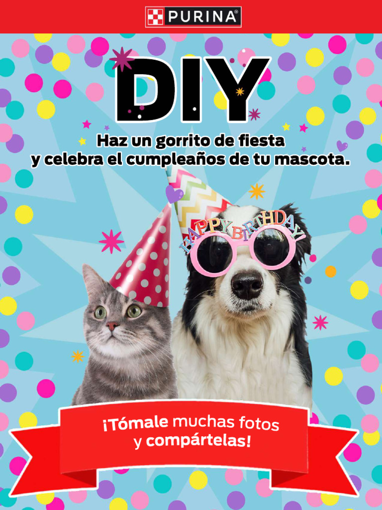 PURINA Value Exchange Bday V02B - Compressed | PDF