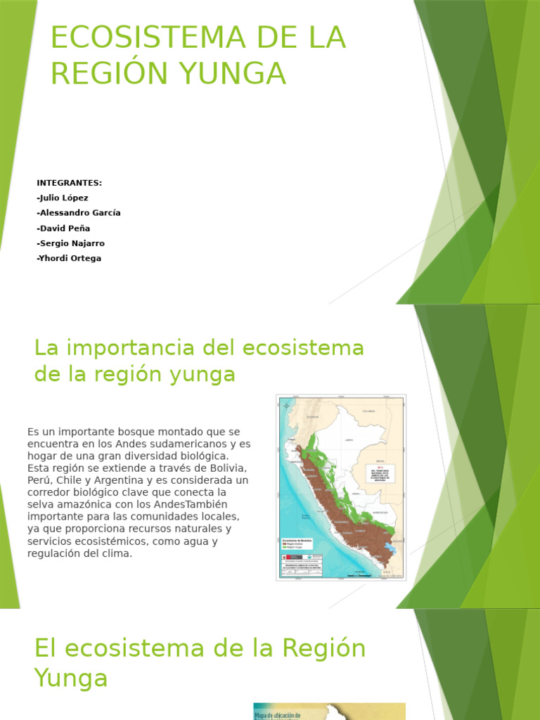ECOSISTEMA DE LA REGIÓN YUNGA | PDF