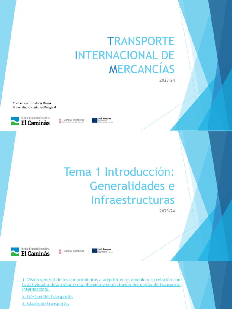 TIM Tema 1 Introducción | PDF
