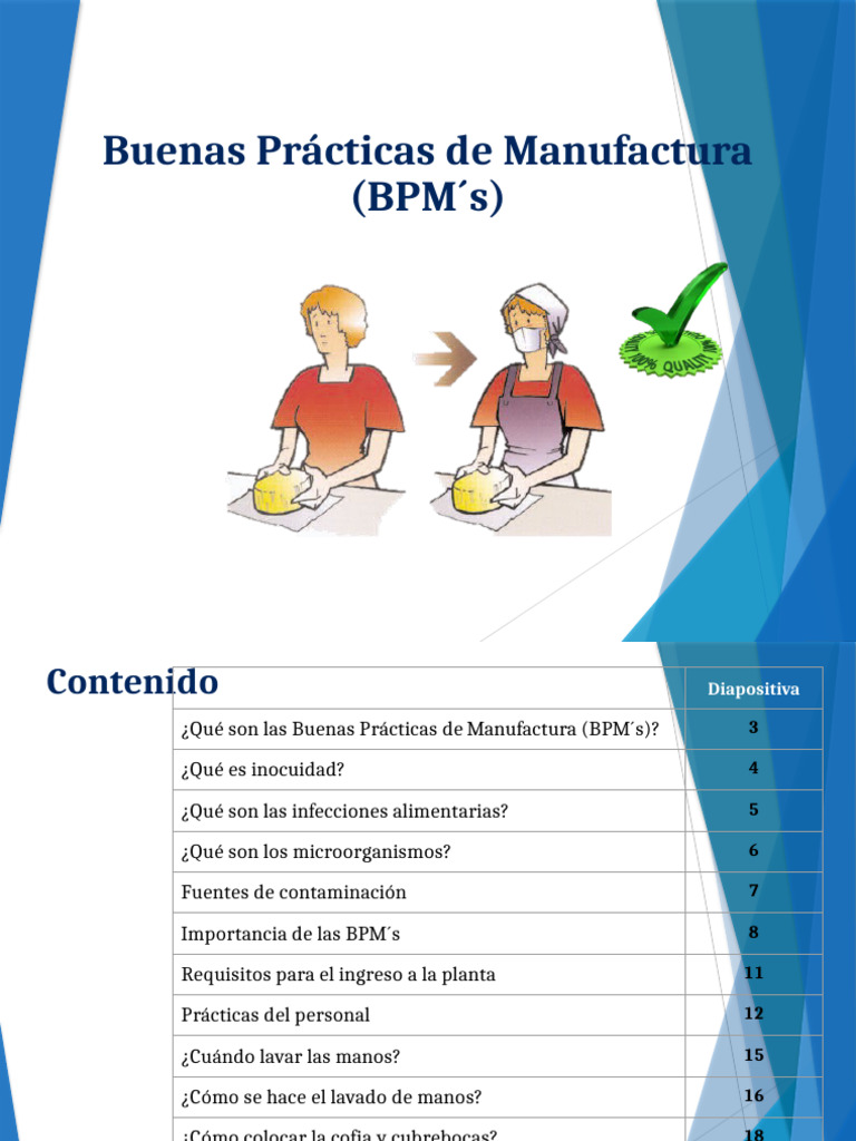 Capacitación BPMs | PDF