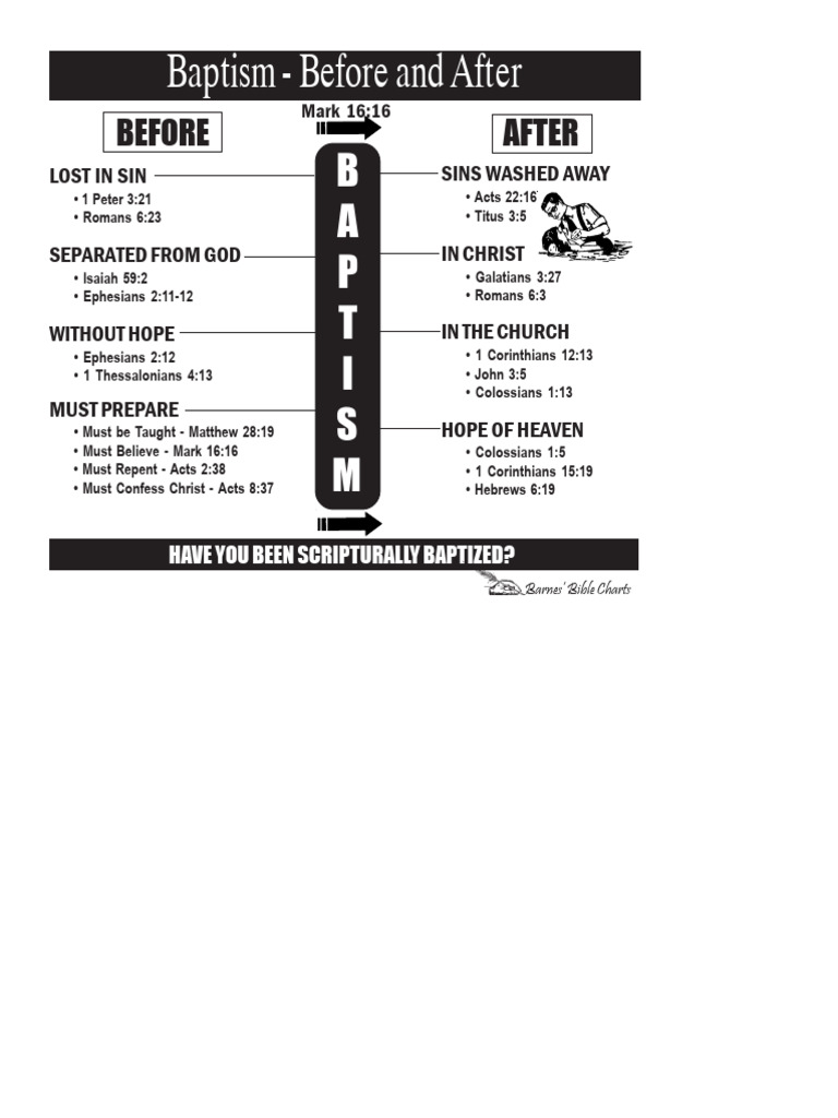 baptism - before and after | PDF