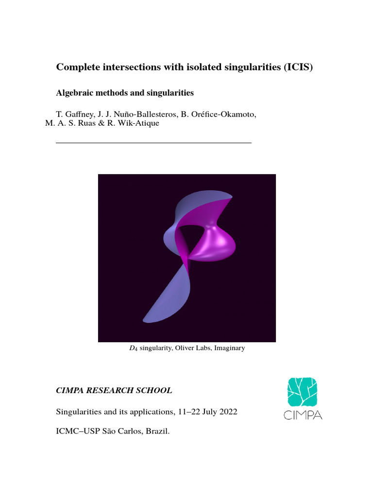 ICIS: Algebraic Methods Overview | PDF | Ring (Mathematics) | Geometry