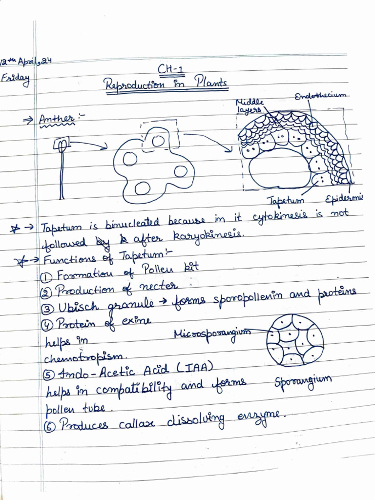 Bio Notes Anupam | PDF