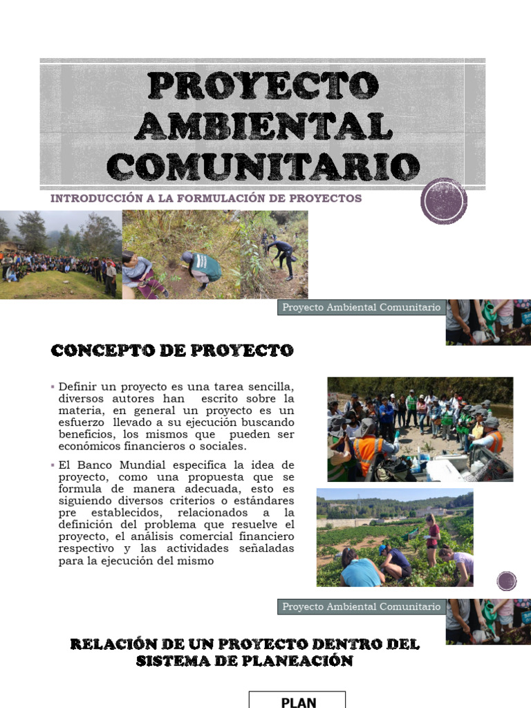 Proyecto Ambiental Comunitario | PDF