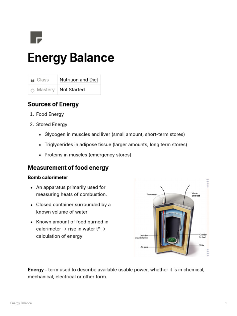 Energy Balance | PDF