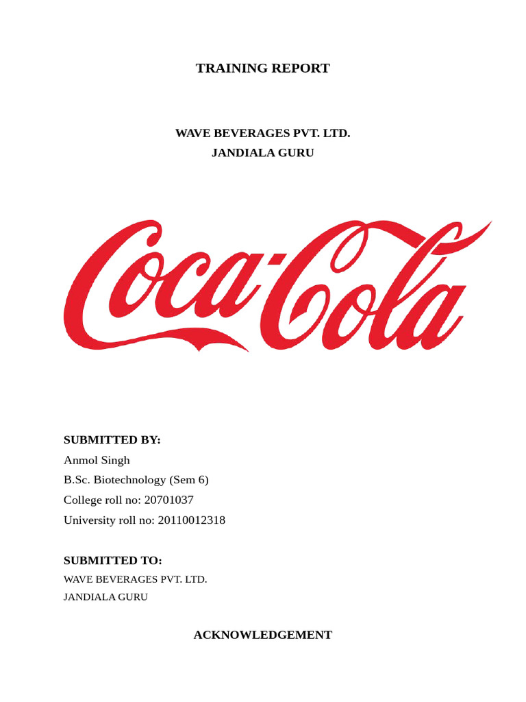 REPORT Wave Beverages | PDF