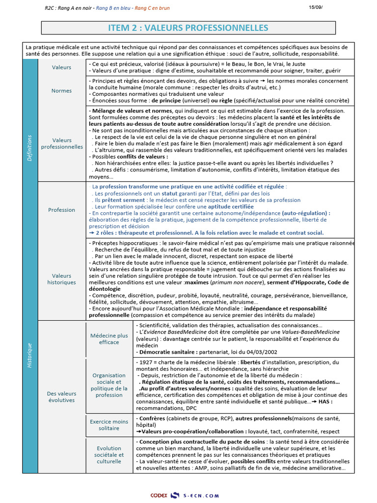 Item-R2c 2 - Valeurs Professionnelles | PDF
