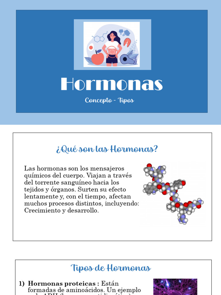 Tipos y funciones de las hormonas | PDF | Hormona | Cocina, comidas y vino