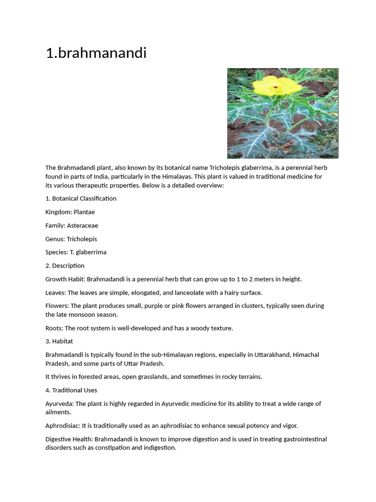 Plant All Information | PDF