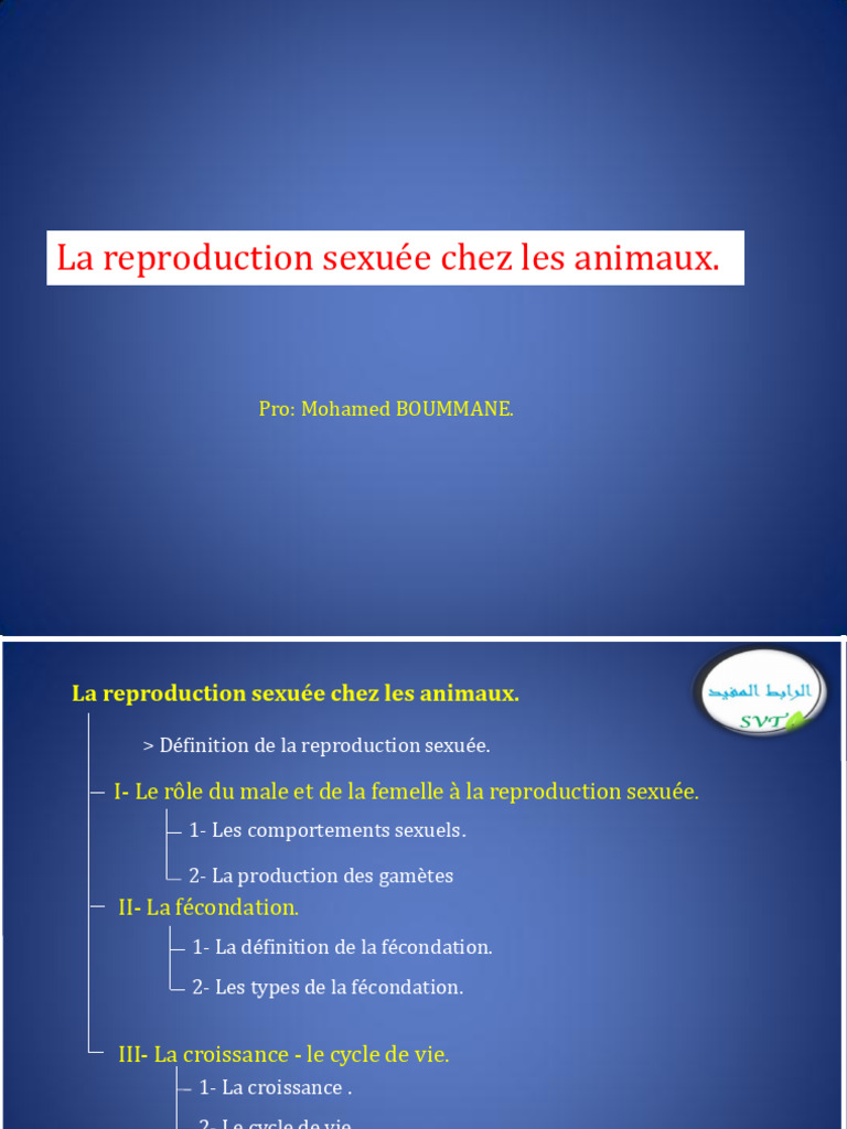 Reproduction Sexuée Chez Les Animaux | PDF