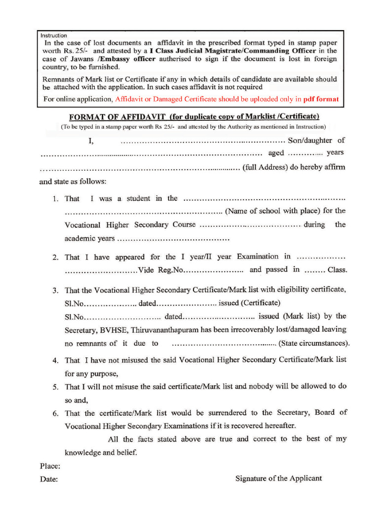 Affidavit - Format | PDF